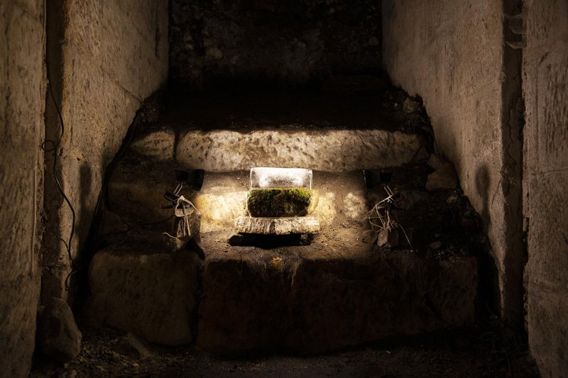 Elemental Systems | Constance ARI