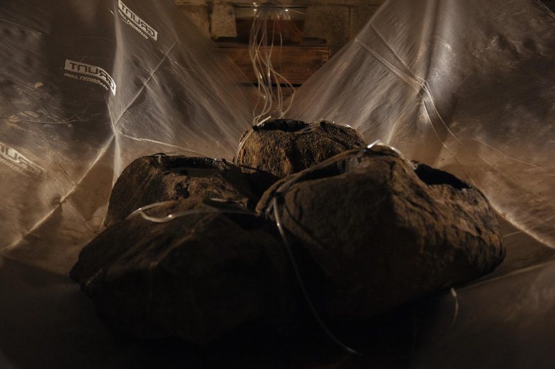 Elemental Systems | Constance ARI