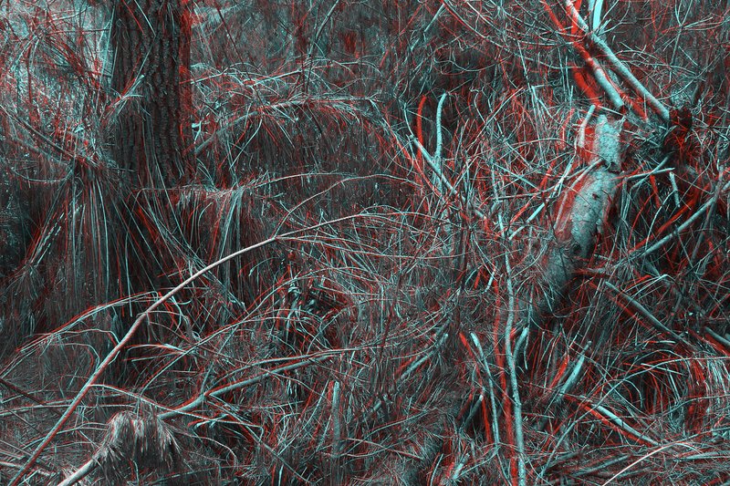 Distorted: Illusions through the camera lens | Constance ARI